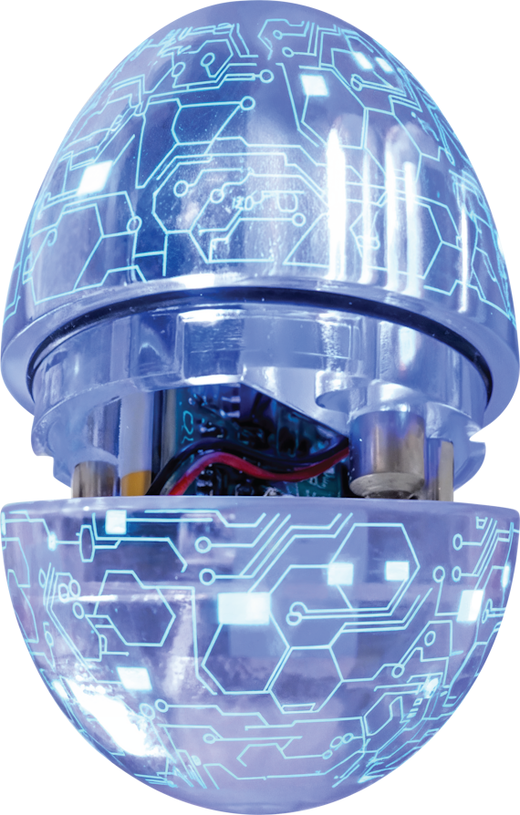 Electronic Egg - Bröring Technology GmbH